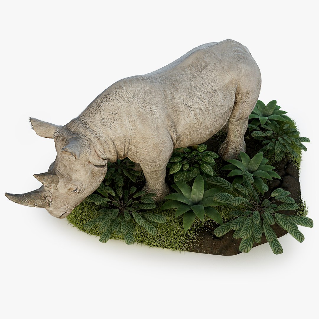 Max Rhinoceros Rhino