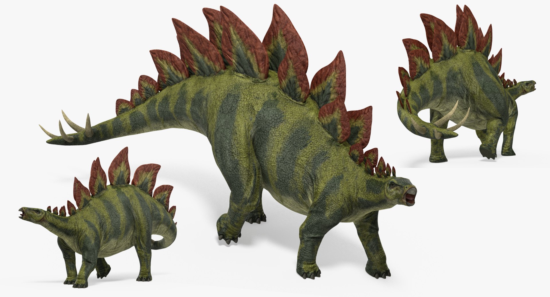 Stegosaurus Walking Pose 3ds
