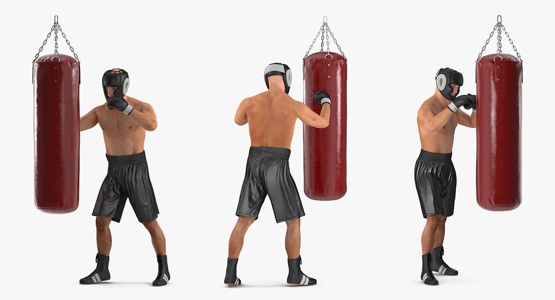 Boxer Punching Bag 3D Model - TurboSquid 1313933