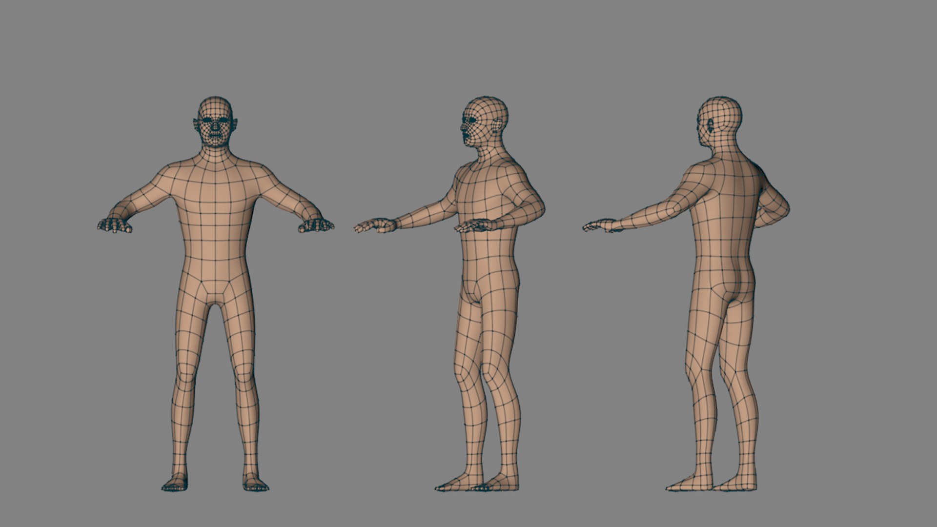 Basemesh Uv Unwrapped 3D Model - TurboSquid 1426306
