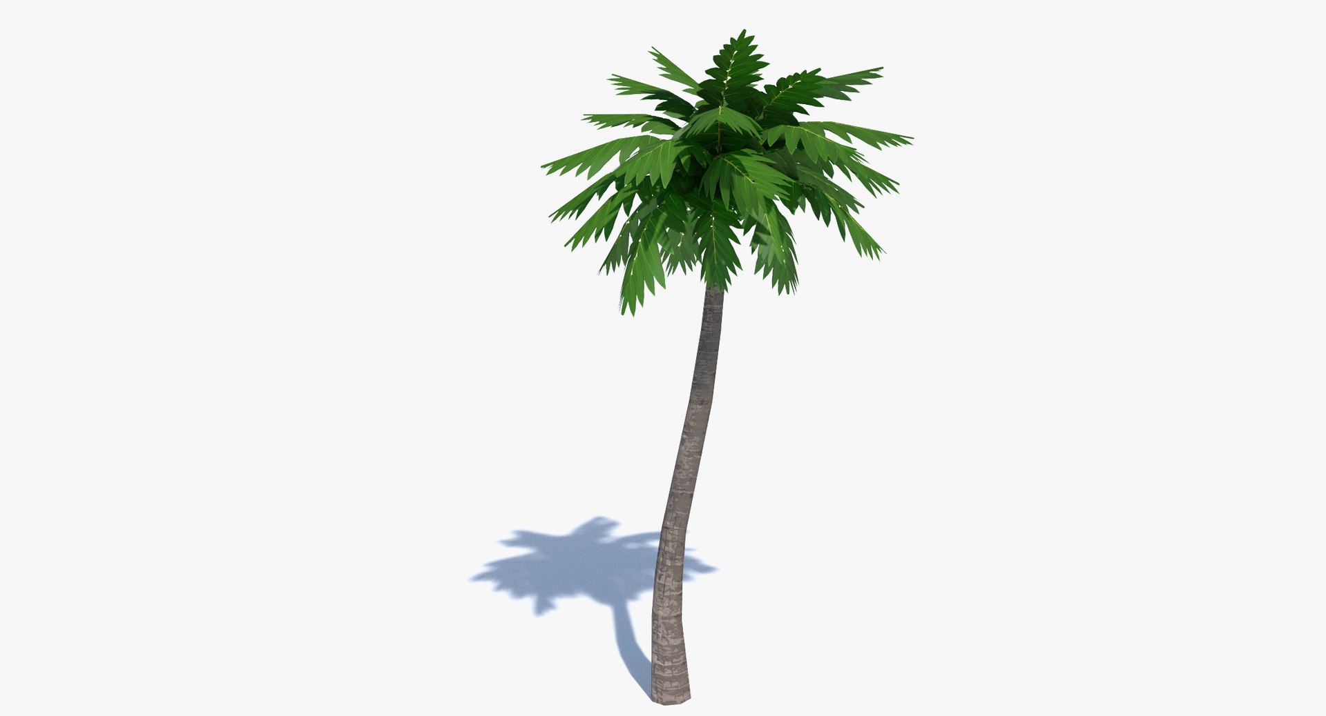 Cartoon Palm Tree 3d Model