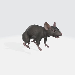 STL Mouse Models | TurboSquid