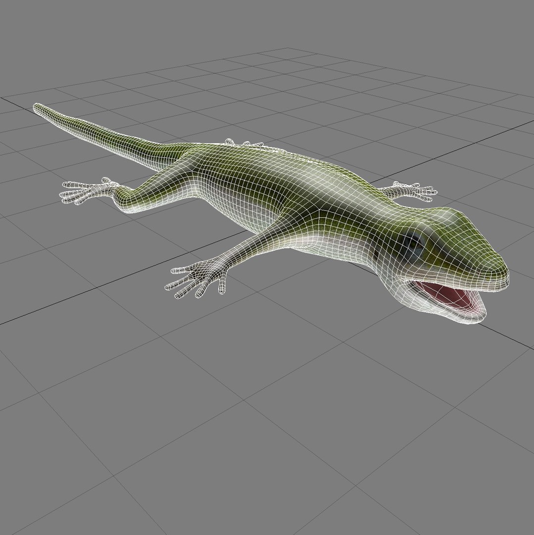 3d Model Green Lizard Animation Rigged