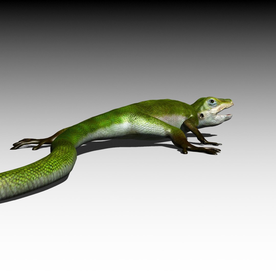 3d Model Green Lizard Animation Rigged