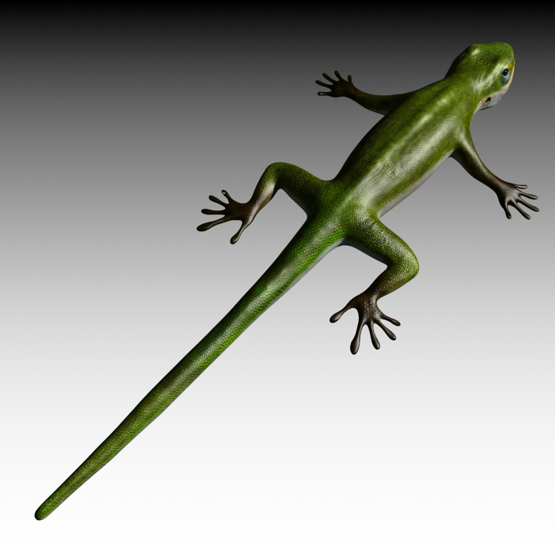 3d model green lizard animation rigged