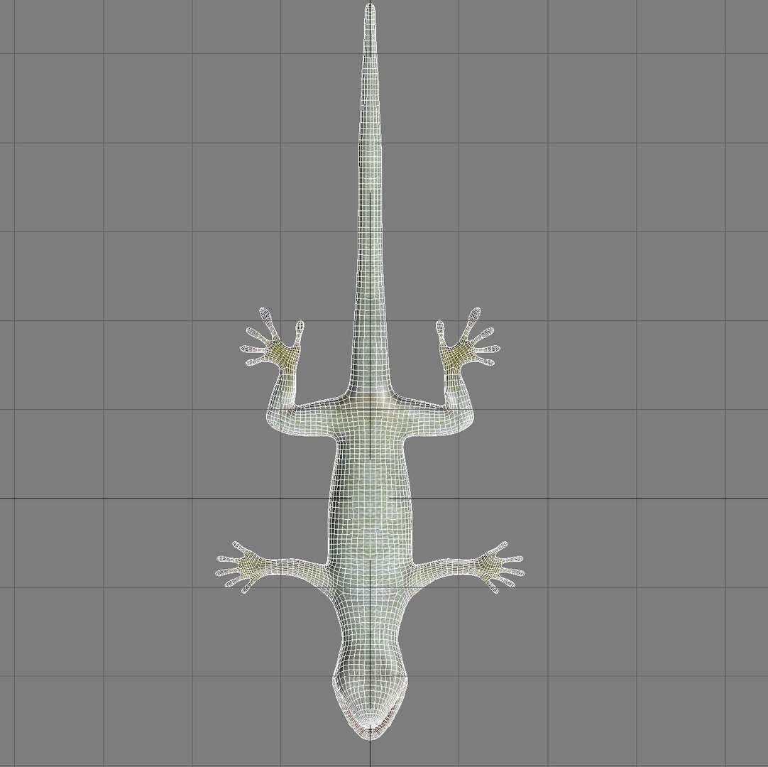 3d Model Green Lizard Animation Rigged