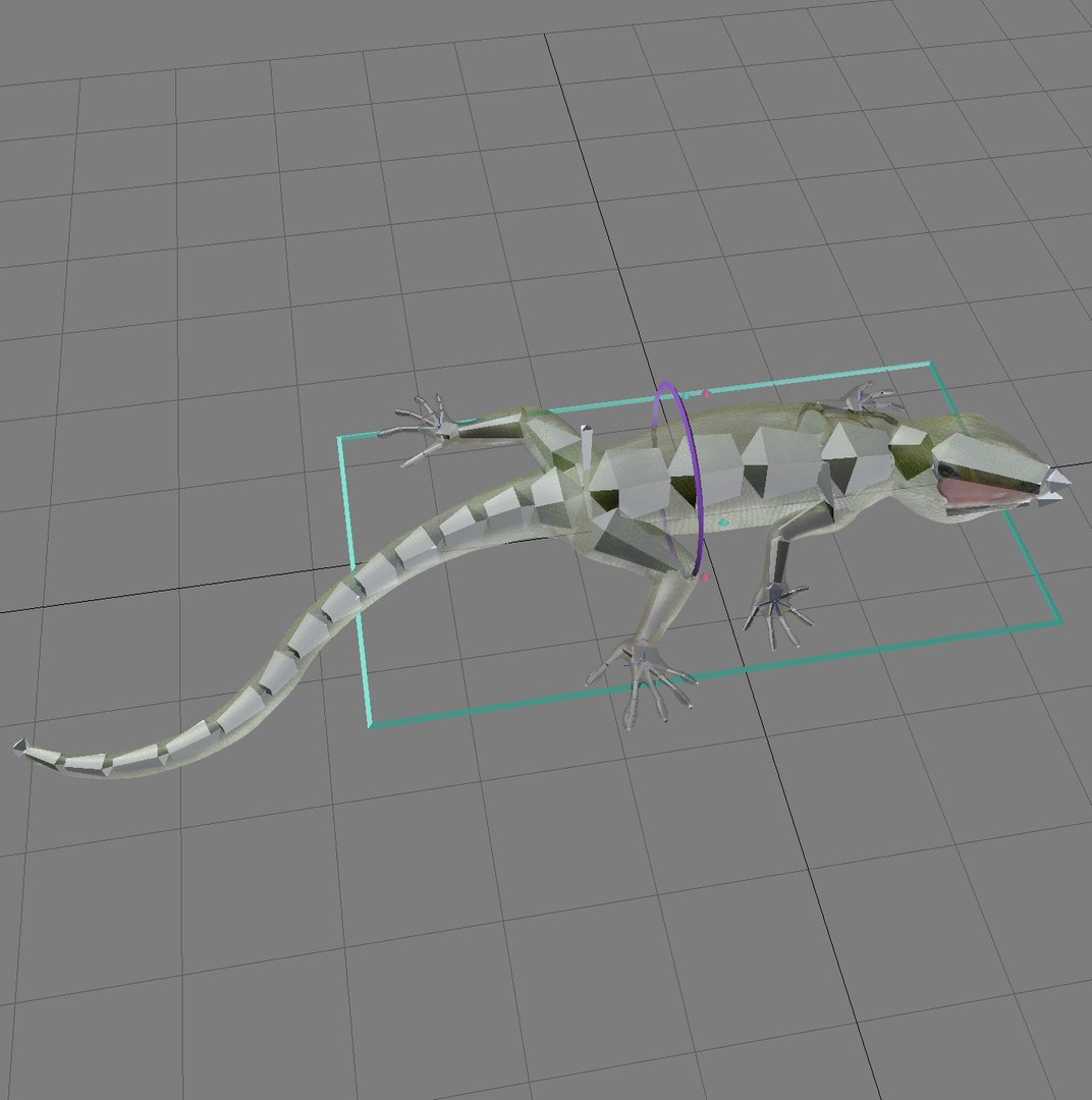 3d Model Green Lizard Animation Rigged