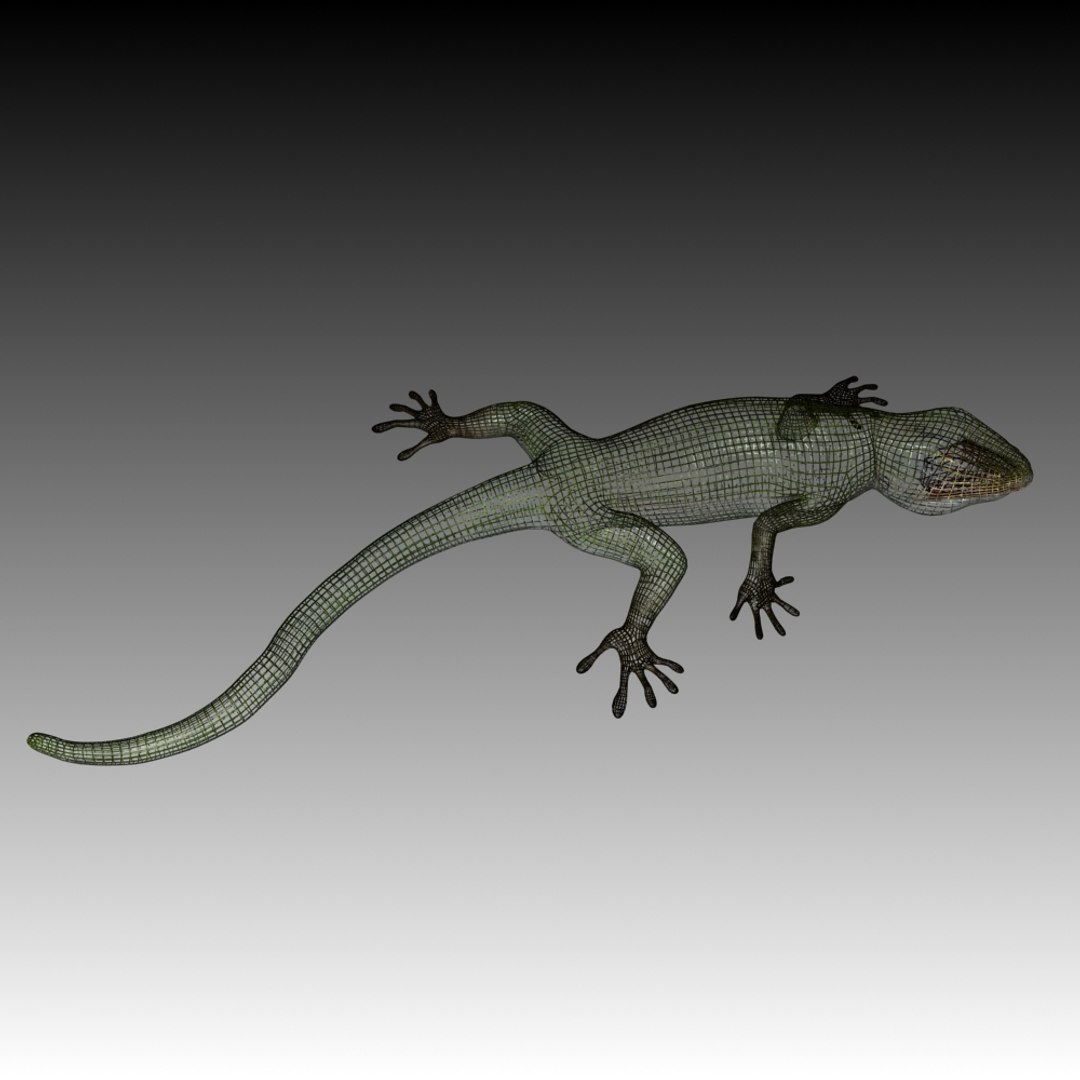3d Model Green Lizard Animation Rigged