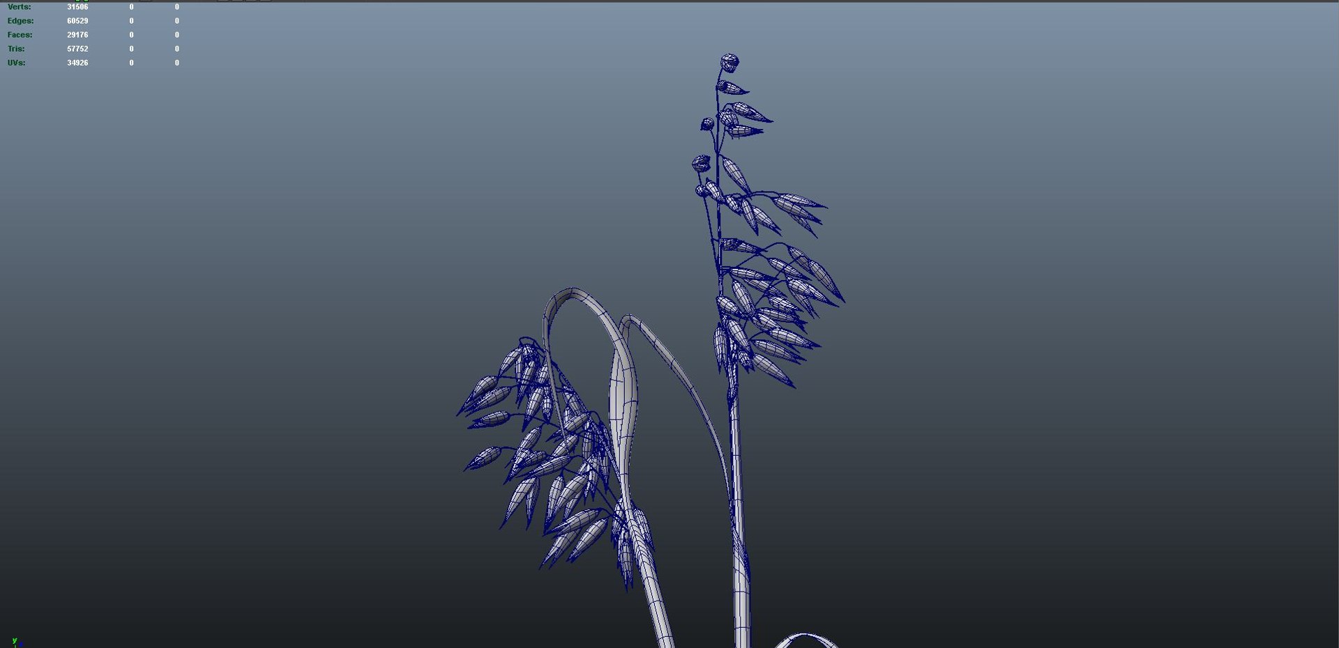 Oat Cereal Grain 3D Model - TurboSquid 1238115