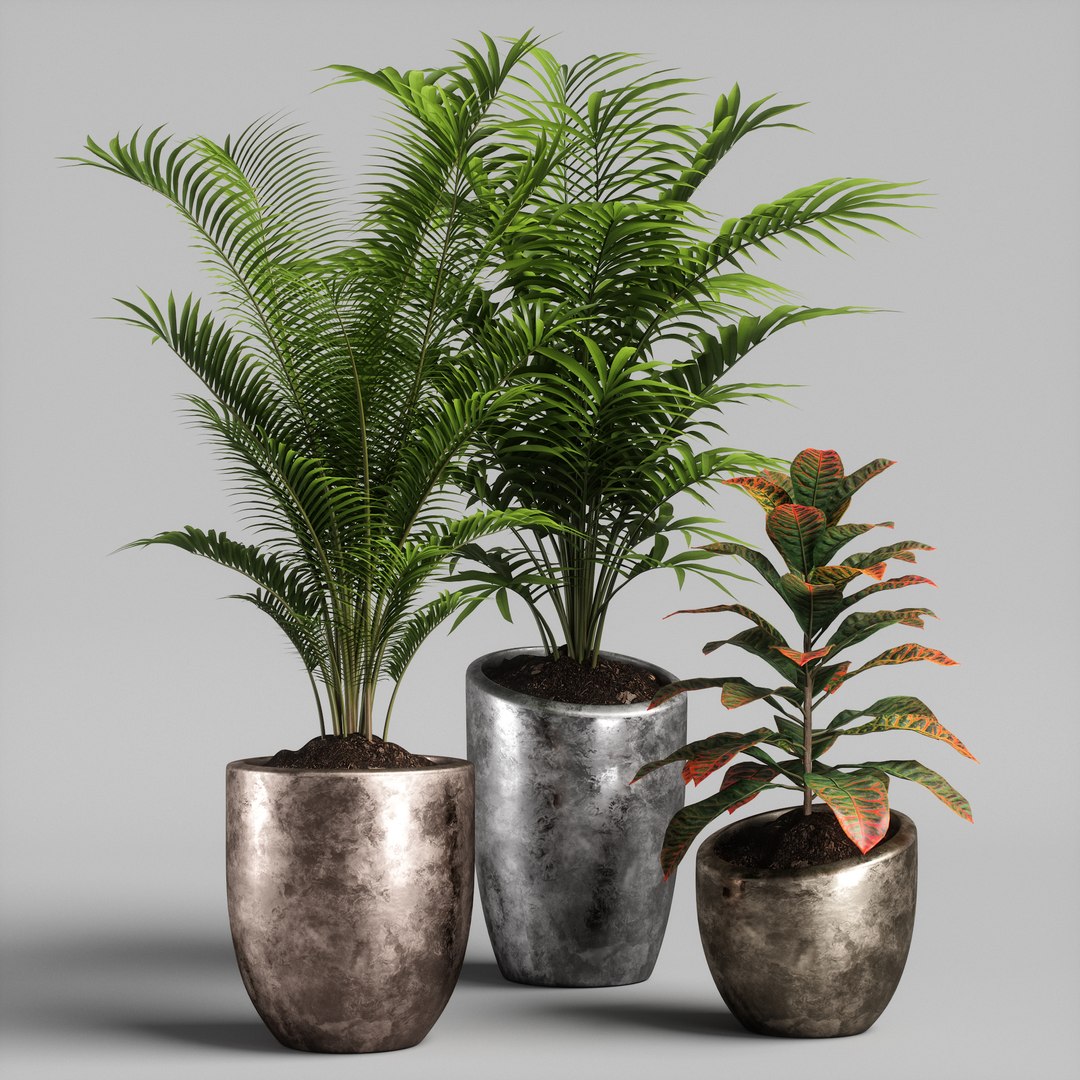 3D Plants Set - TurboSquid 1441695