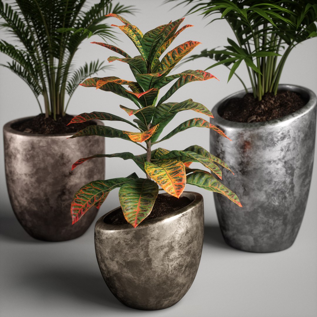 3D Plants Set - TurboSquid 1441695