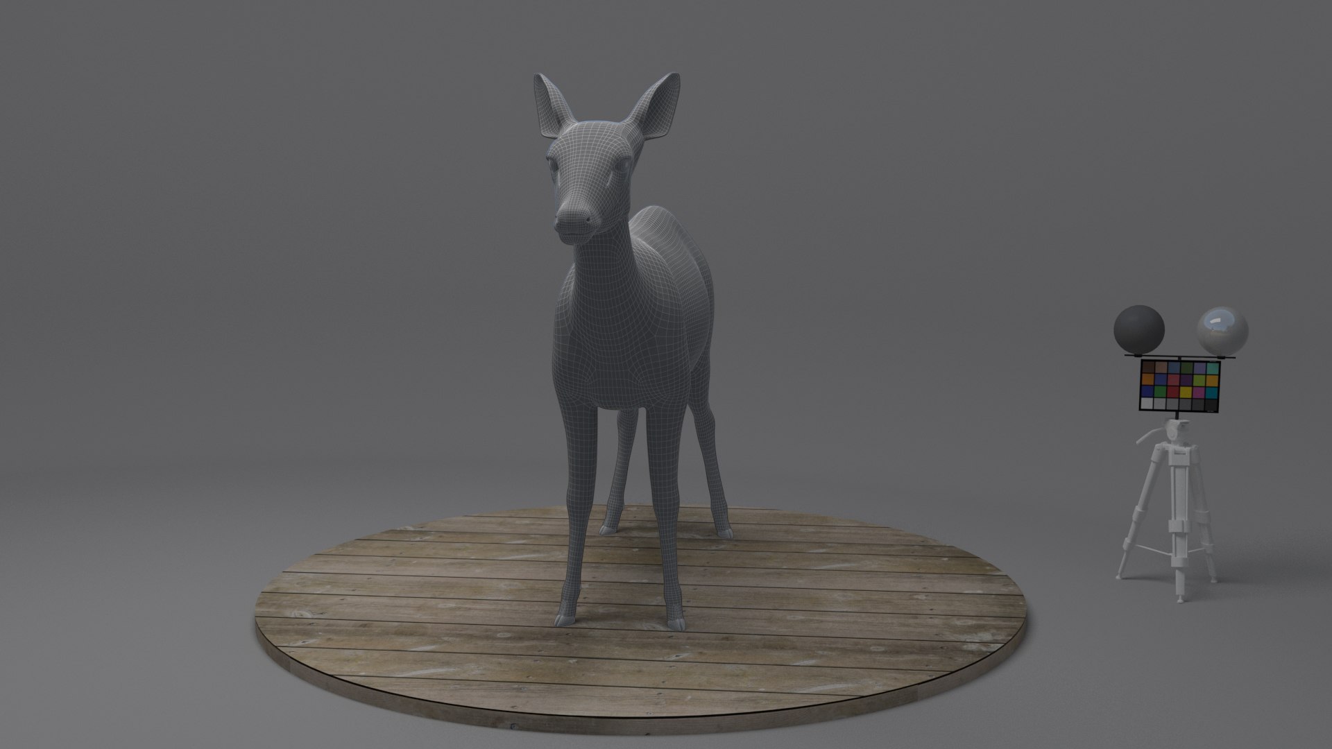 Asian Deer 3D Model - TurboSquid 2240933