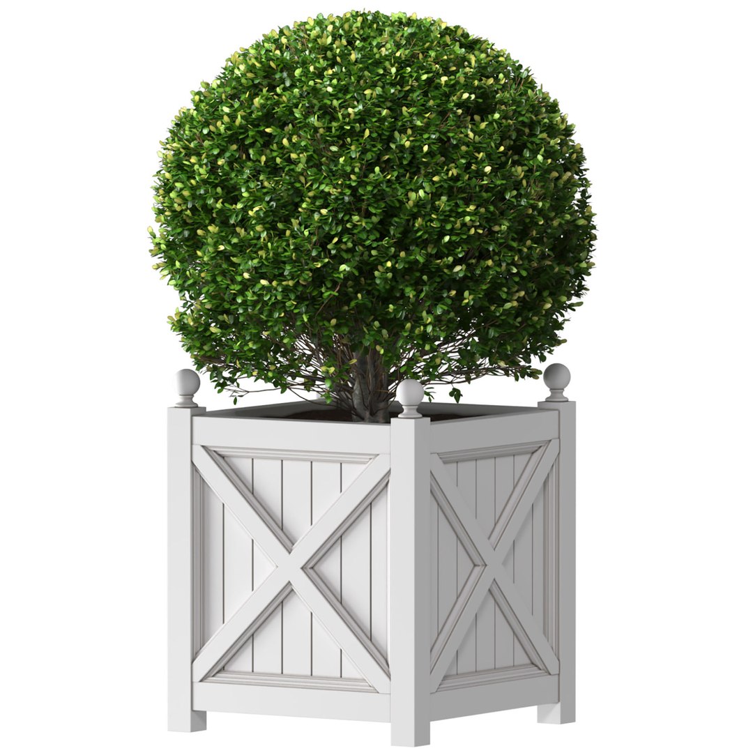 Boxwood In A Garden Planter Front Entrance Tree Model - TurboSquid 2110561