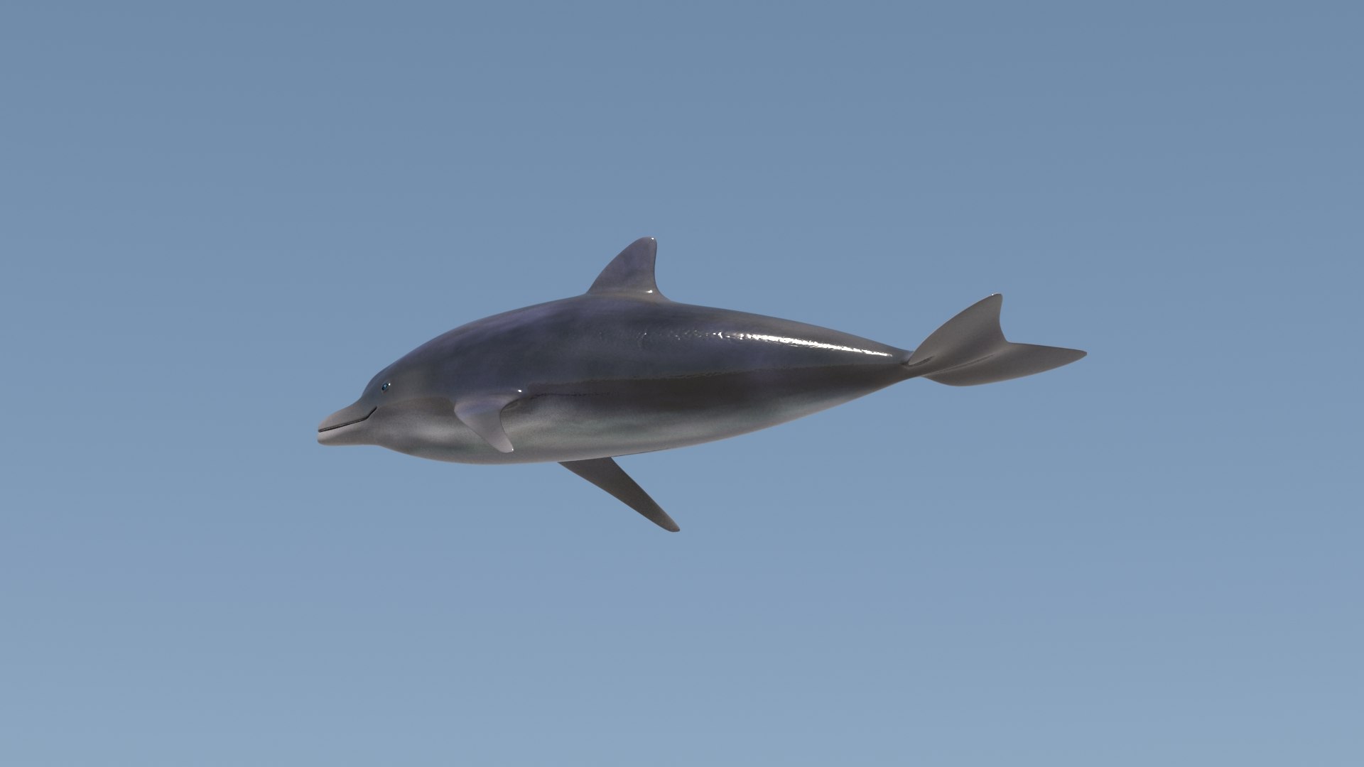 3D Dolphin Ocean Blue - TurboSquid 2199342