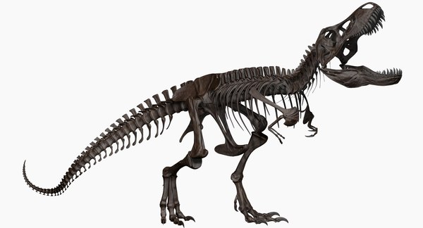 3D rex skeleton t - TurboSquid 1299587