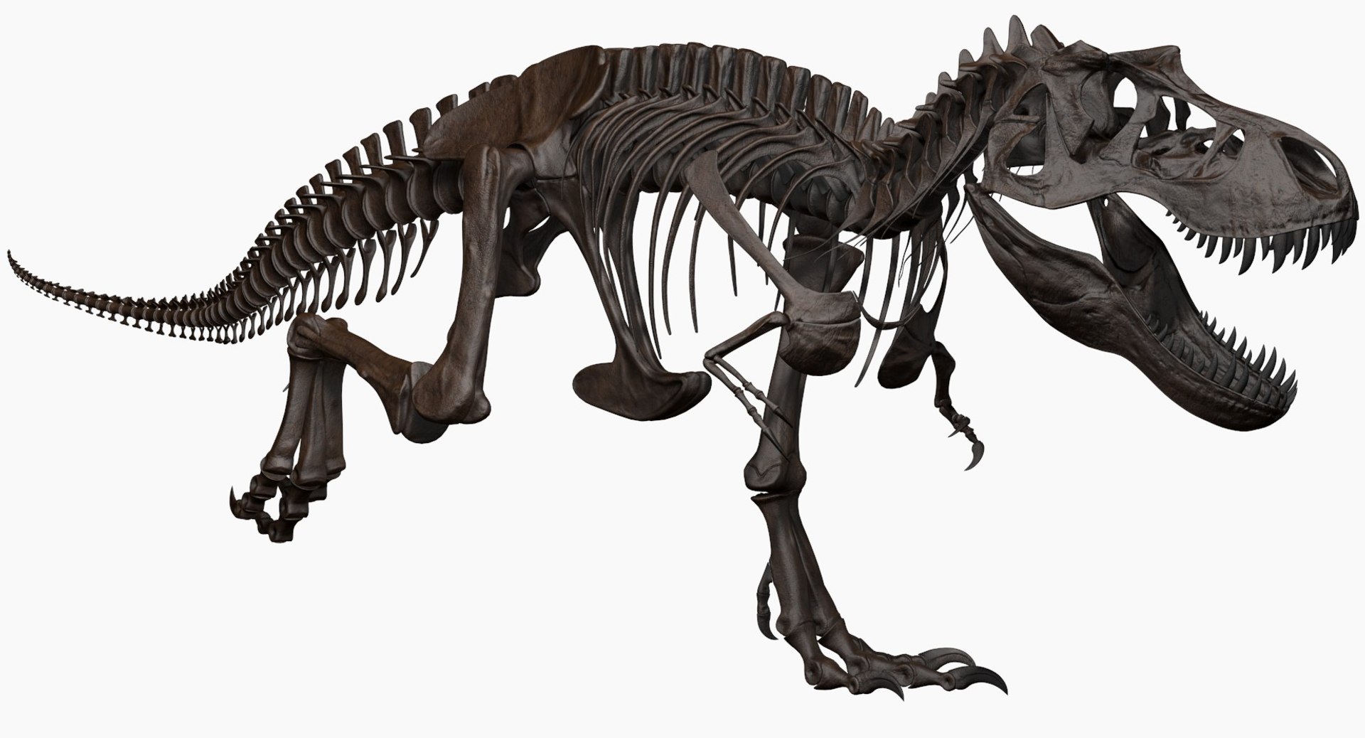 3D rex skeleton t - TurboSquid 1299587