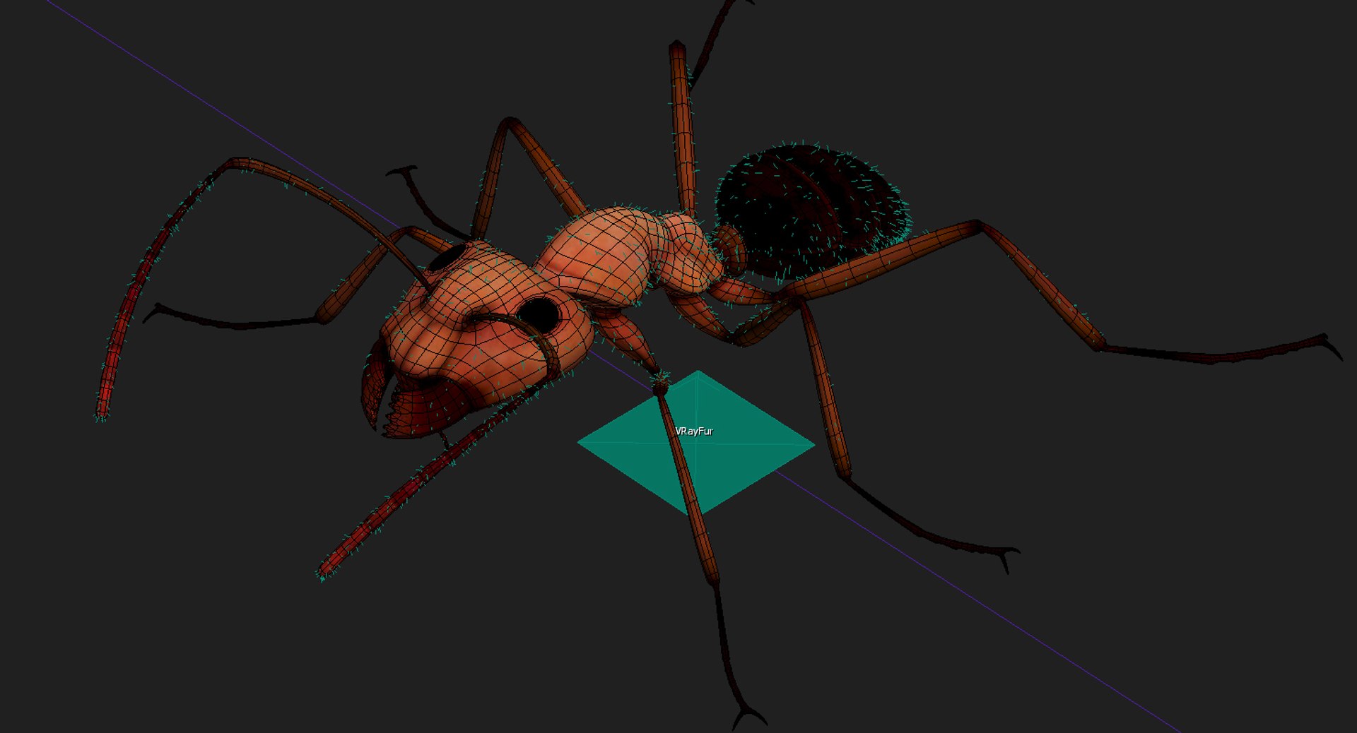 Realistic Ant 3D Model - TurboSquid 1348657