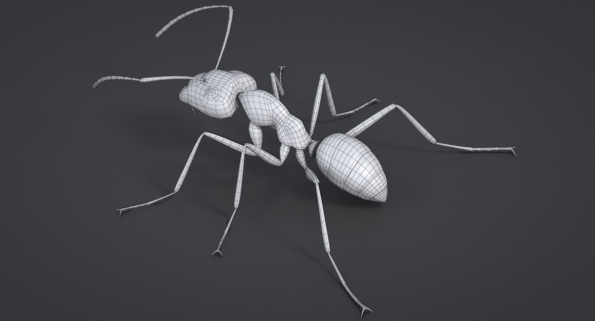 Realistic Ant 3D Model - TurboSquid 1348657
