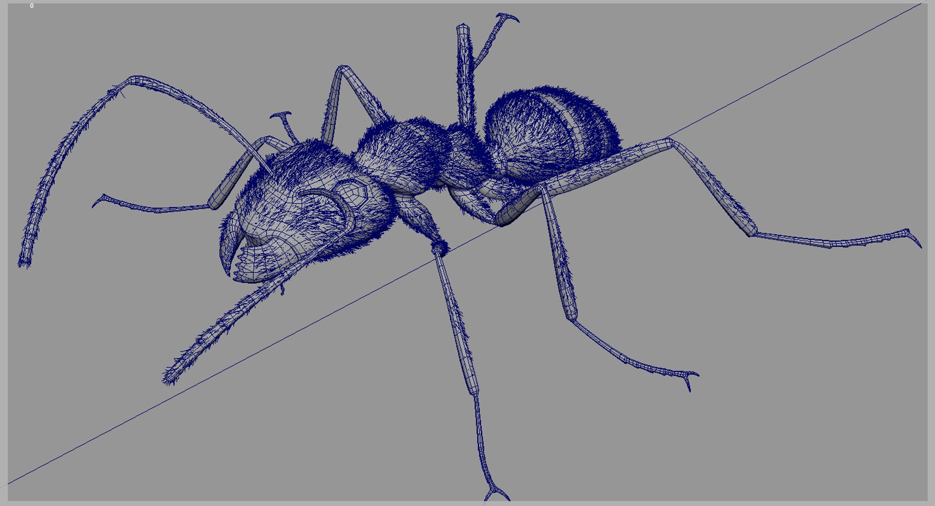 Realistic Ant 3D Model - TurboSquid 1348657