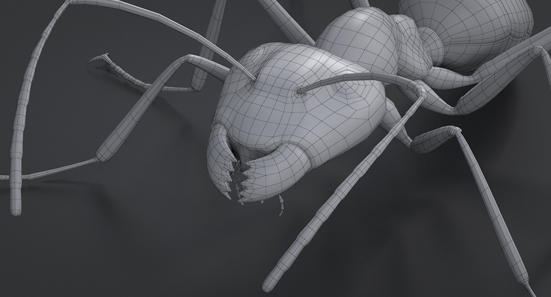 Realistic Ant 3D Model - TurboSquid 1348657