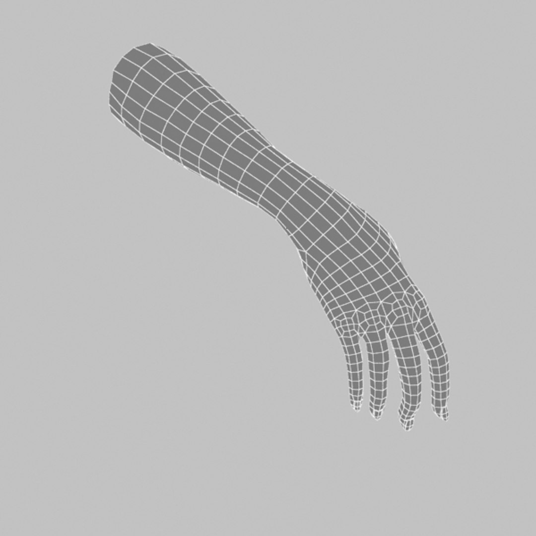 Female Hand 3d Model