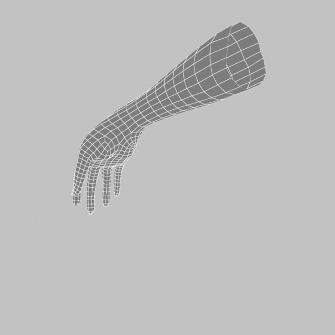 Female Hand 3d Model