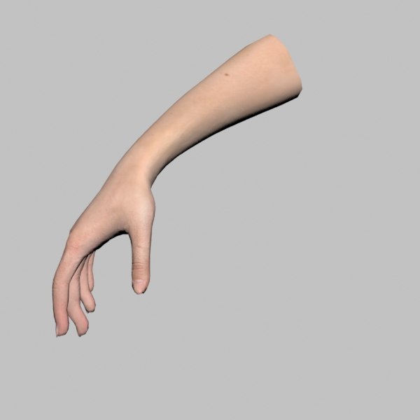 female hand 3d model