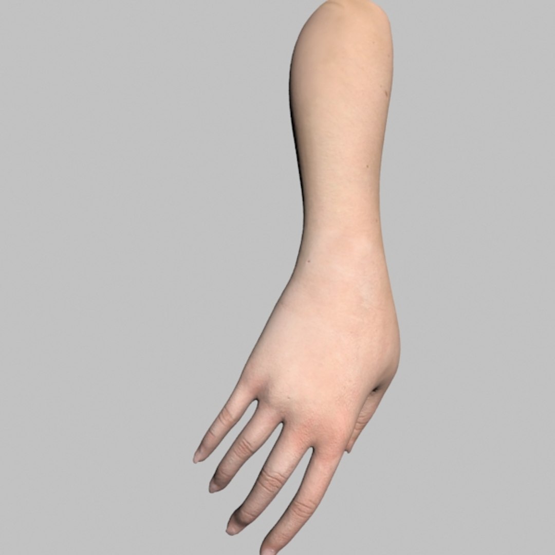 Female Hand 3d Model