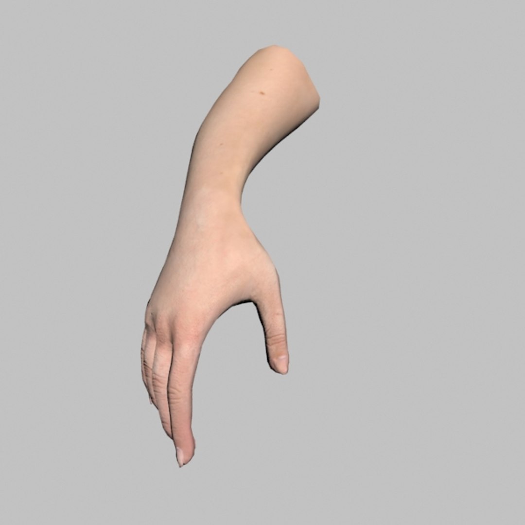 Female Hand 3d Model