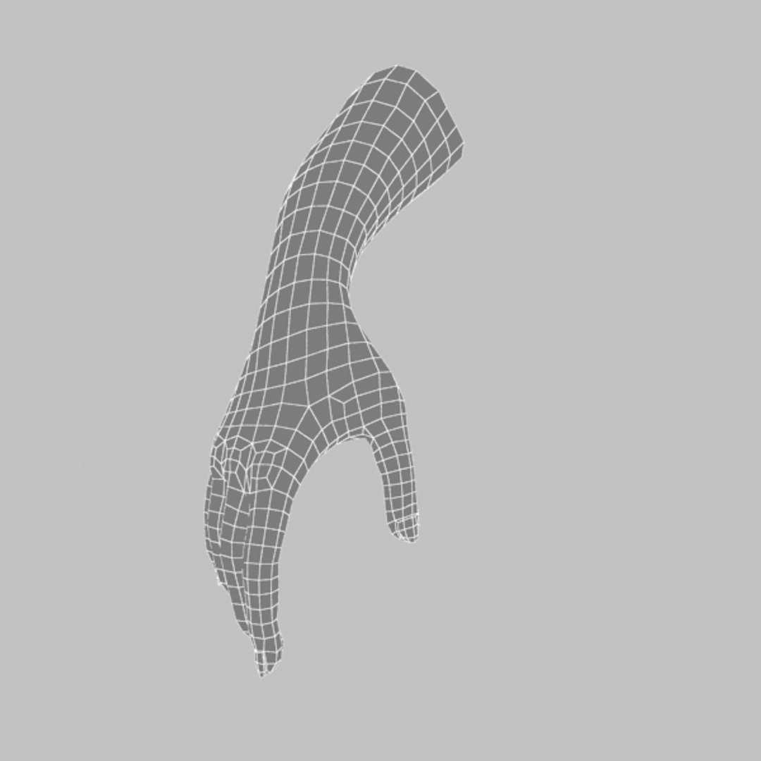 Female Hand 3d Model