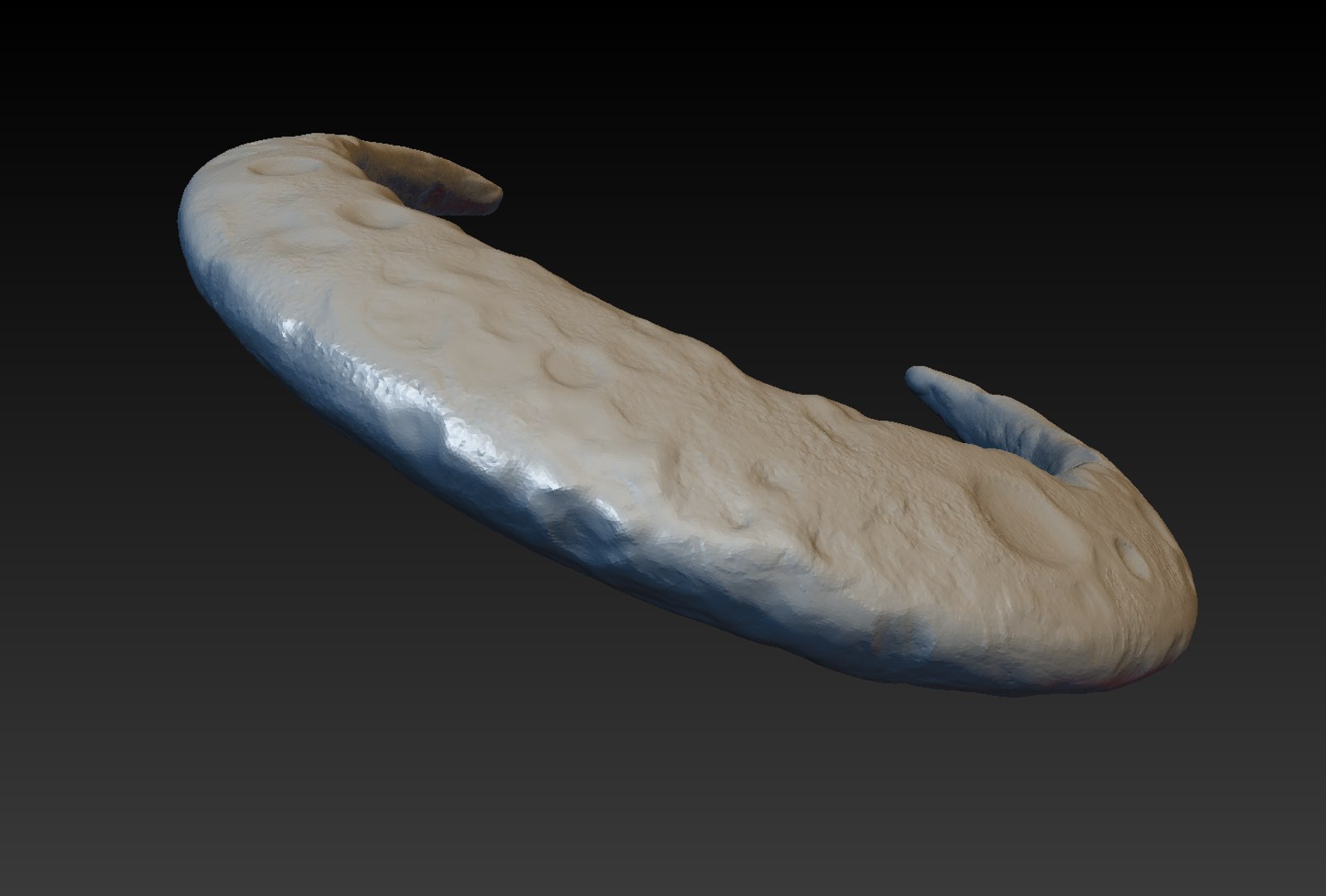 Crescent 3D Model | 1148578 | TurboSquid