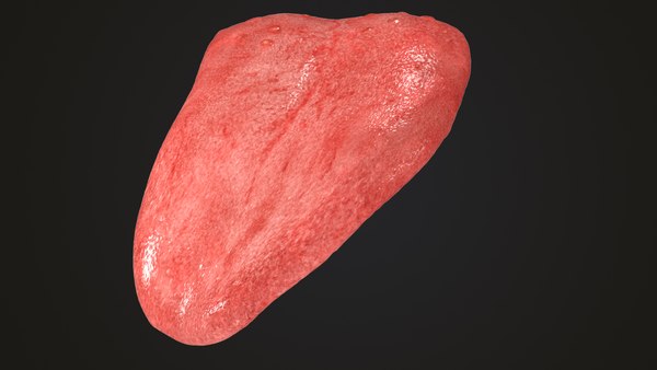 Tongue Rig 3ds MAX 3D - TurboSquid 1769261