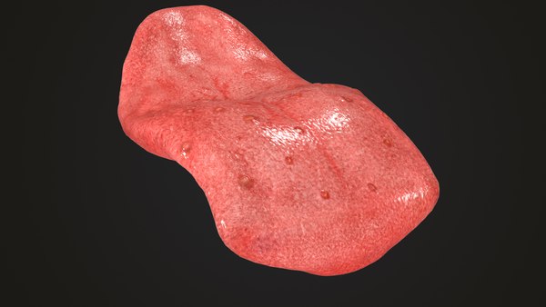 Tongue Rig 3ds MAX 3D - TurboSquid 1769261