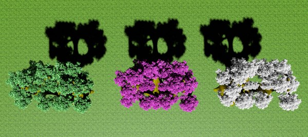 Tree heart 3D model - TurboSquid 1365849