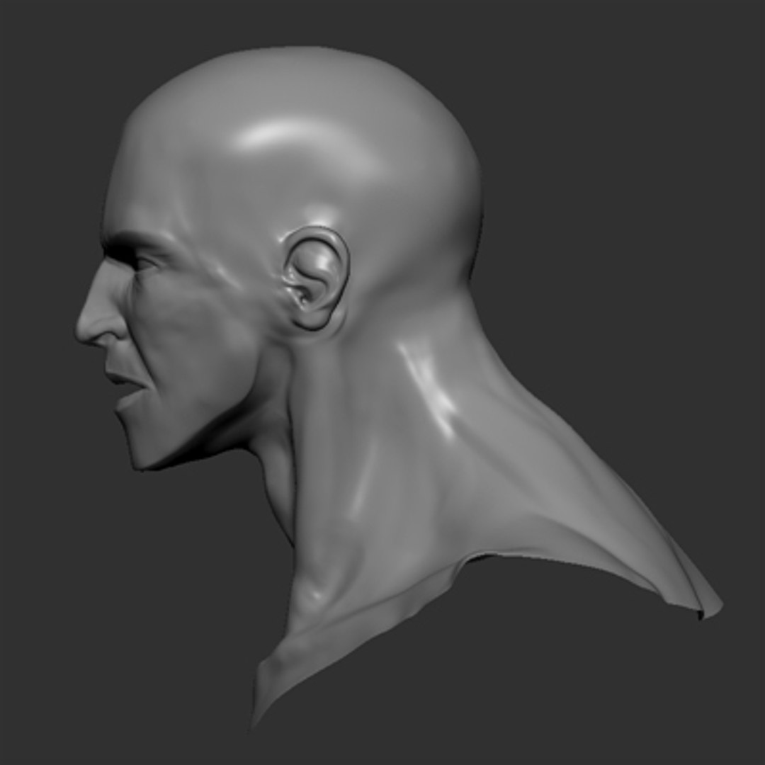 Generic Male Head 3d Model