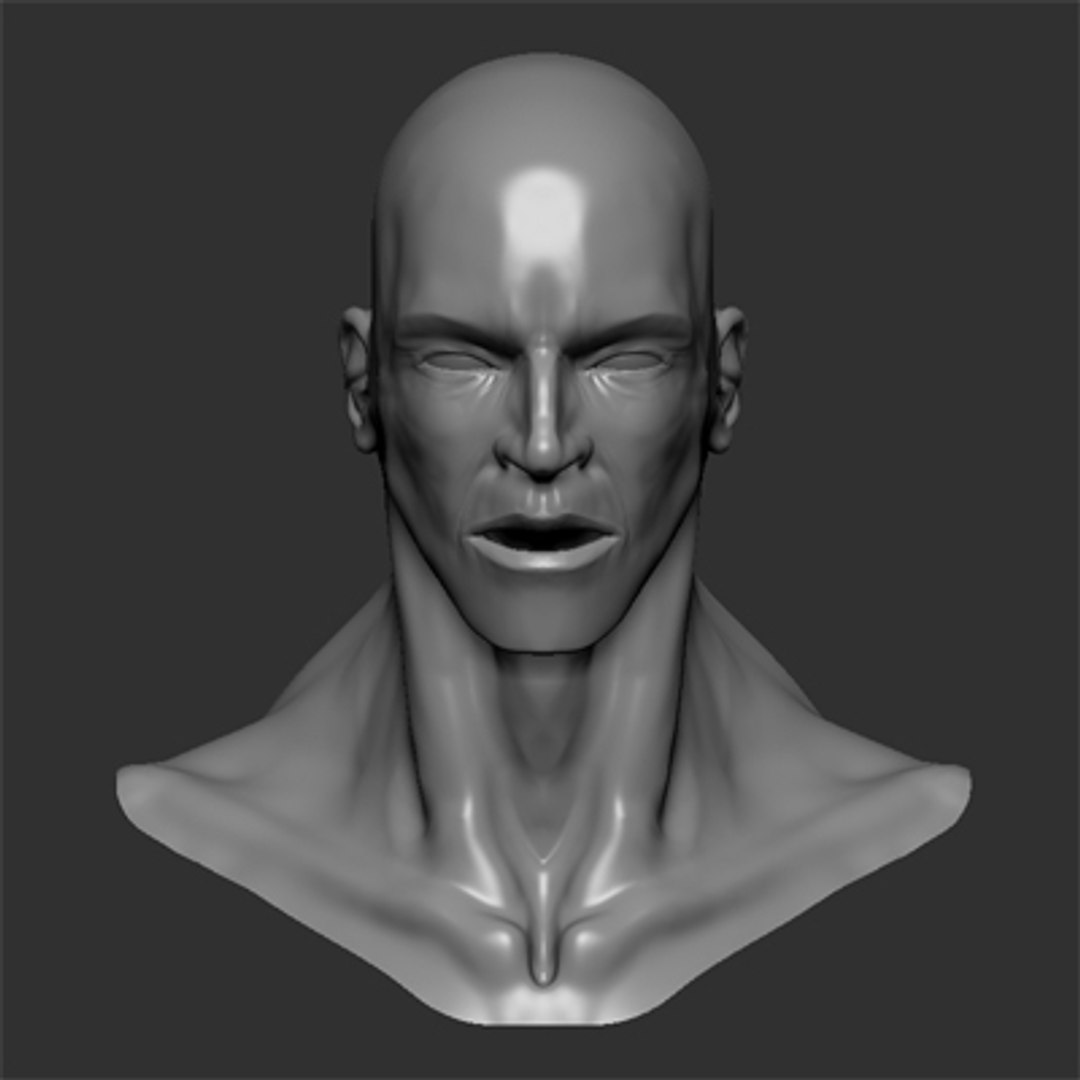 Generic Male Head 3d Model