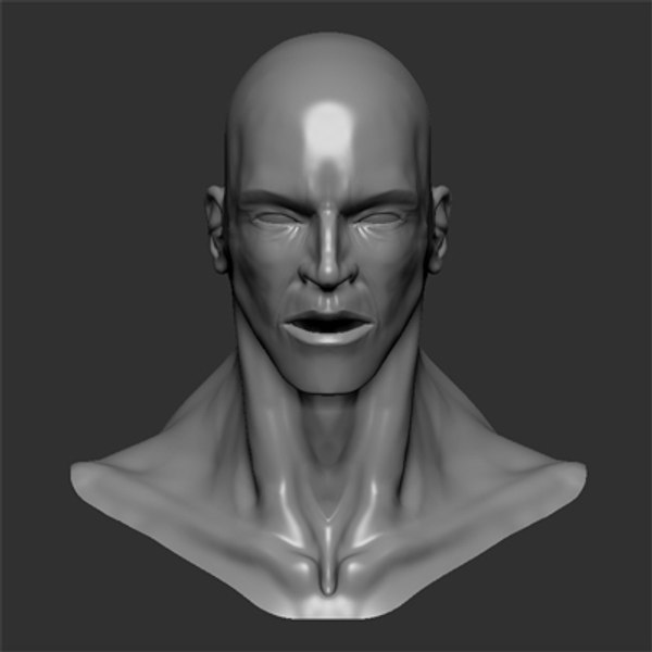 generic male head 3d model
