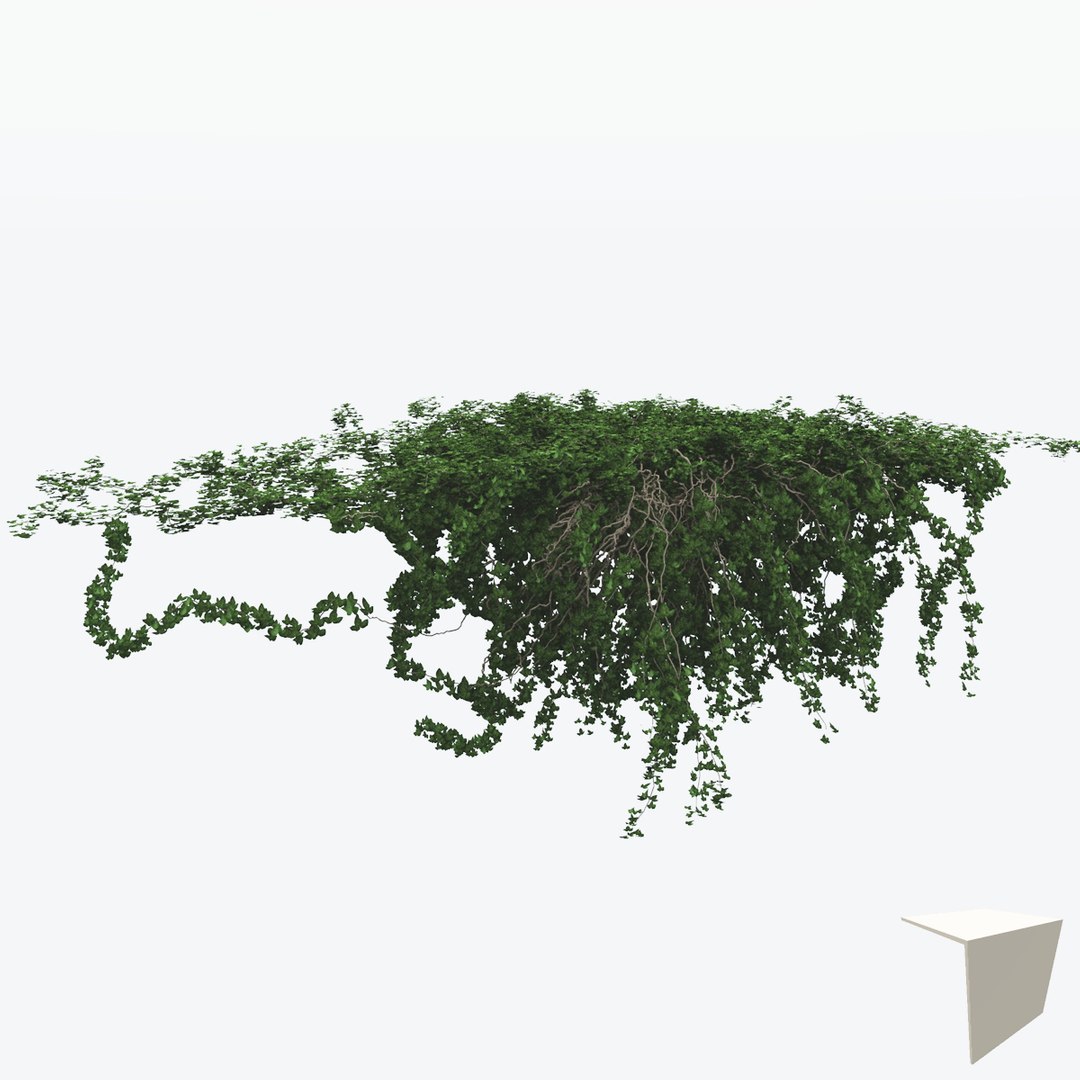 3d ivies plant