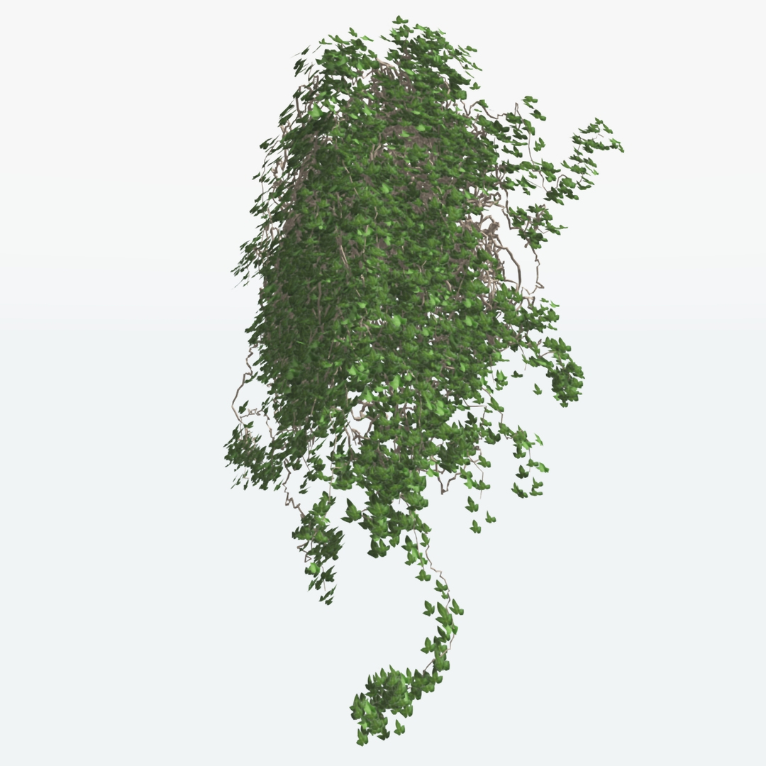 3d ivies plant