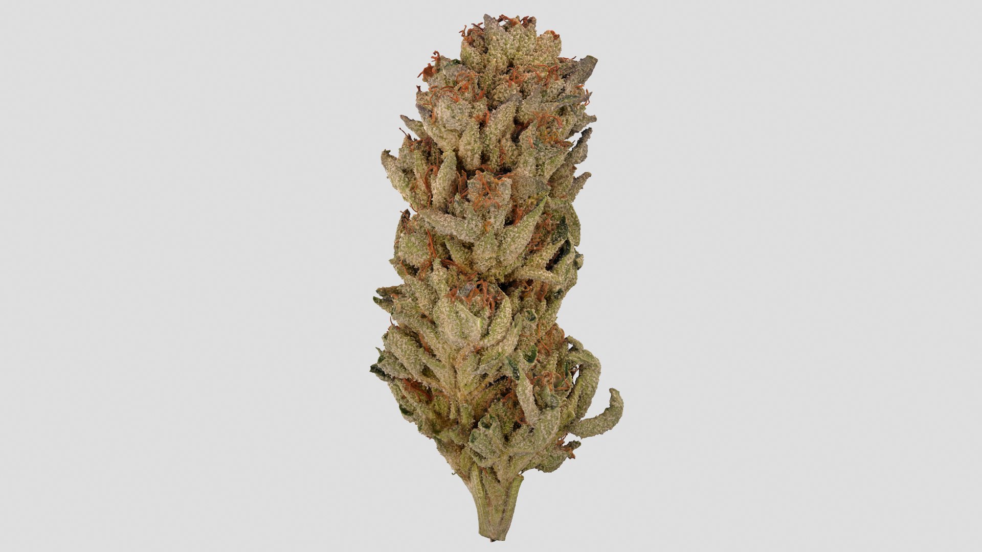 3D Mr Melon Cannabis Bud - TurboSquid 1998589