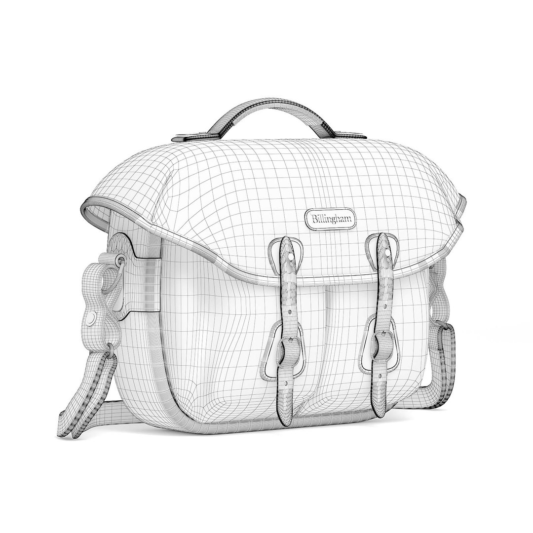 Brown Camera Bag 3D Model - TurboSquid 1438452