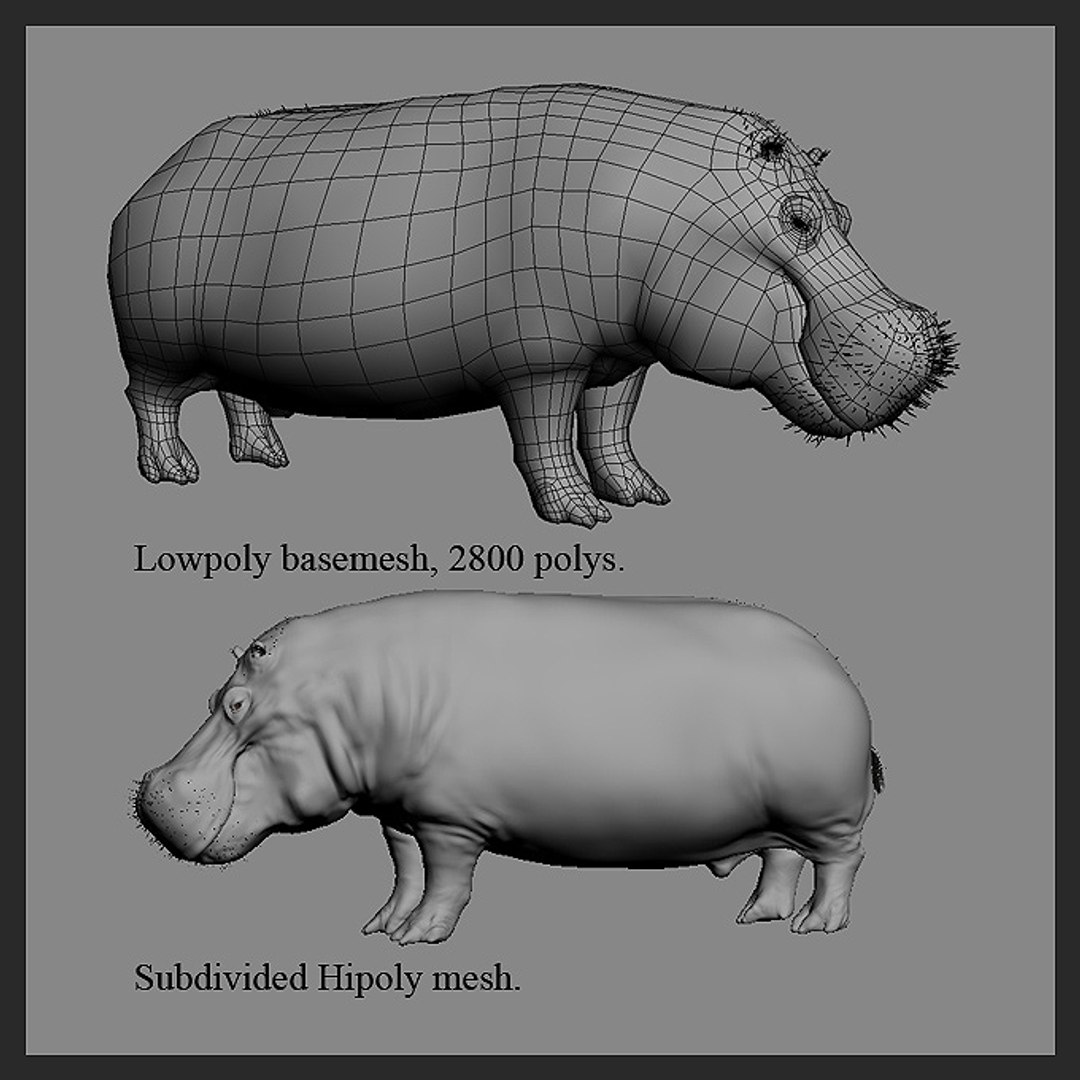 3d Model Hippo Realistic