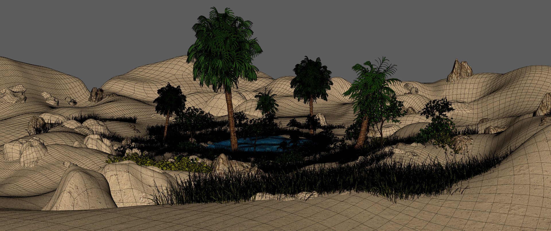 Oasis 3D Model - TurboSquid 1226621