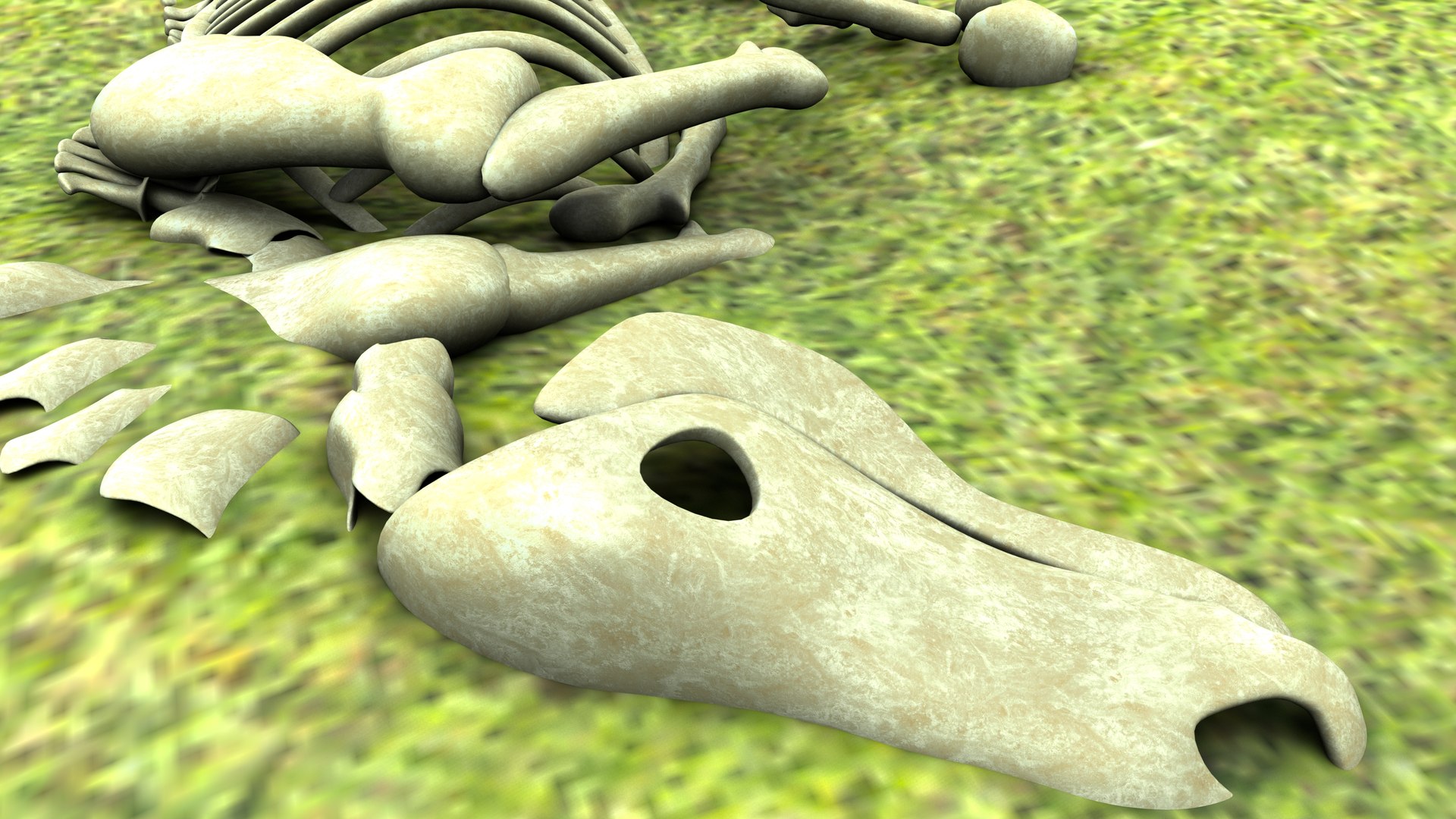 3D Model Decomposition Cow Skeleton - TurboSquid 1792912