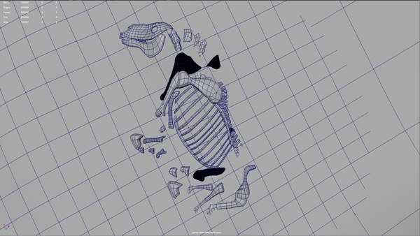 3D model decomposition cow skeleton - TurboSquid 1792912