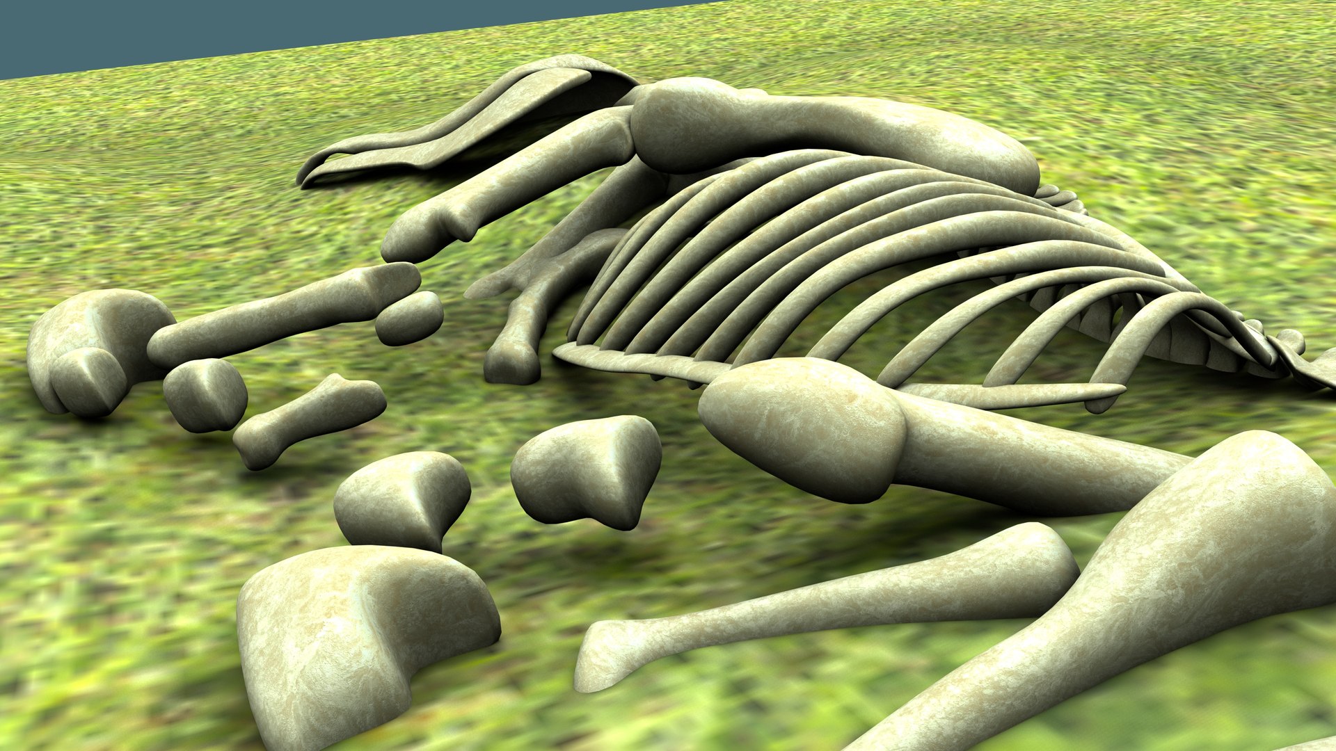 3D Model Decomposition Cow Skeleton - TurboSquid 1792912