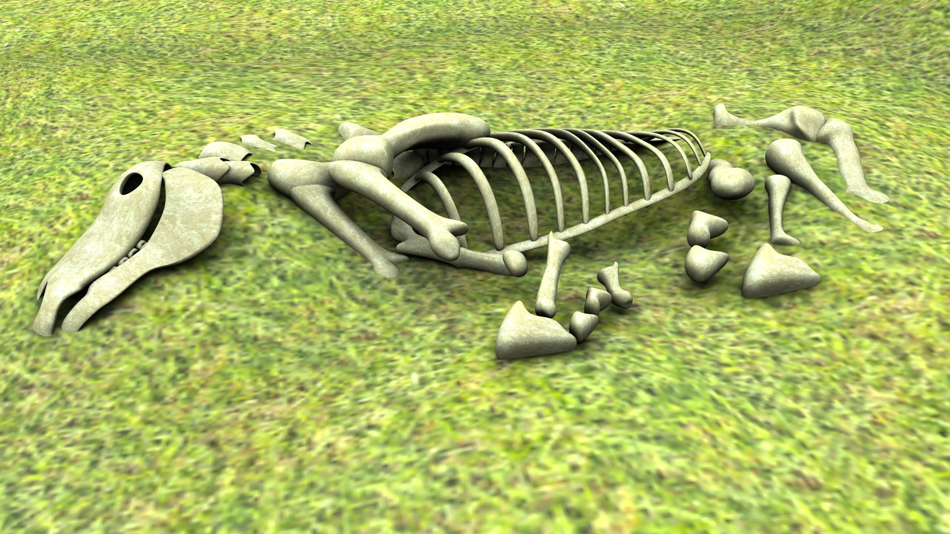 3D Model Decomposition Cow Skeleton - TurboSquid 1792912