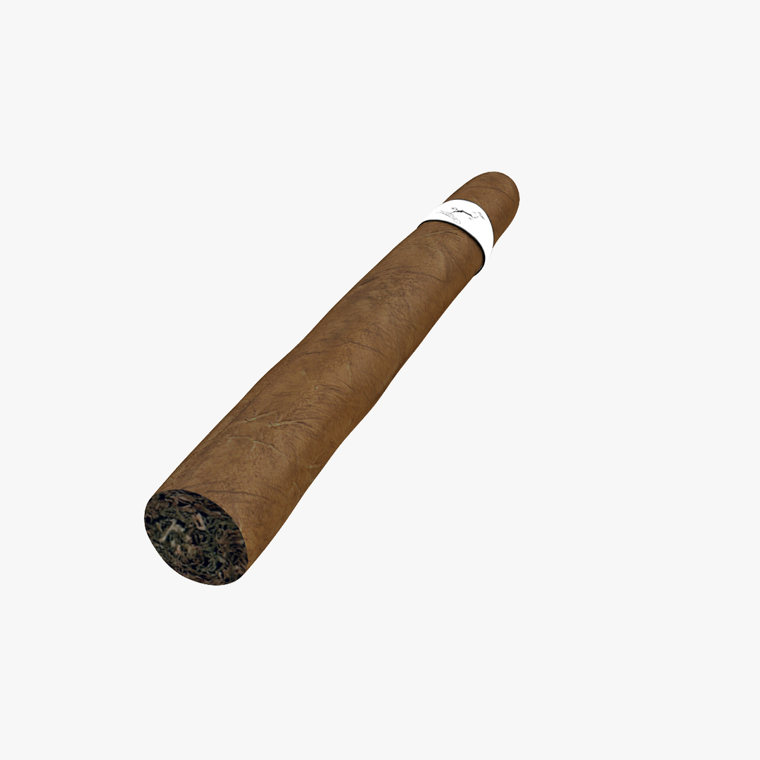 3d Cigar 2 Model