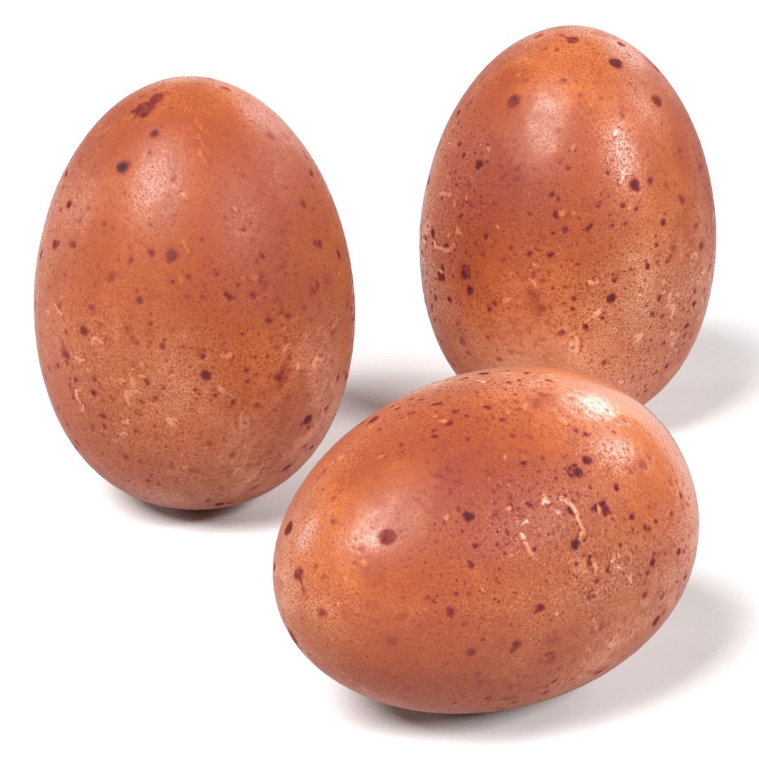 egg 3d model