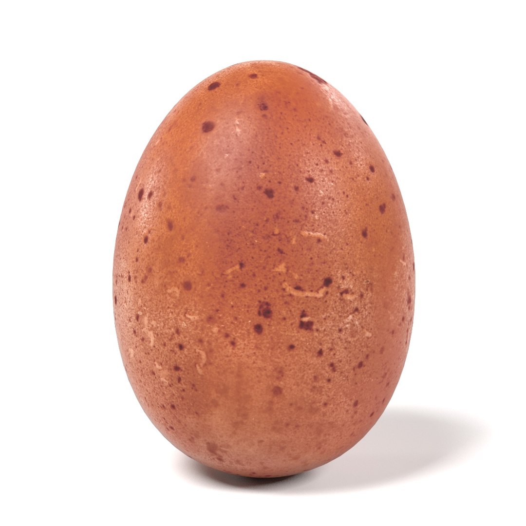 egg 3d model